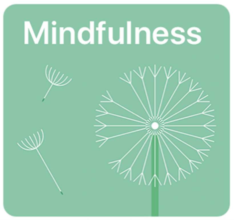 How to keep track of mindful minutes with your Health app | The iPhone FAQ